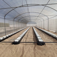 Advancing the UAE’s Vision for Agricultural Sustainability: Ajman ...
